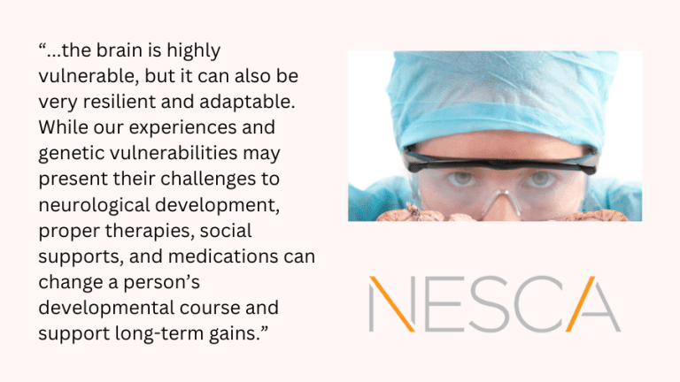 NESCA Goes to Brain Camp - Exploring the Connections among Brain ...